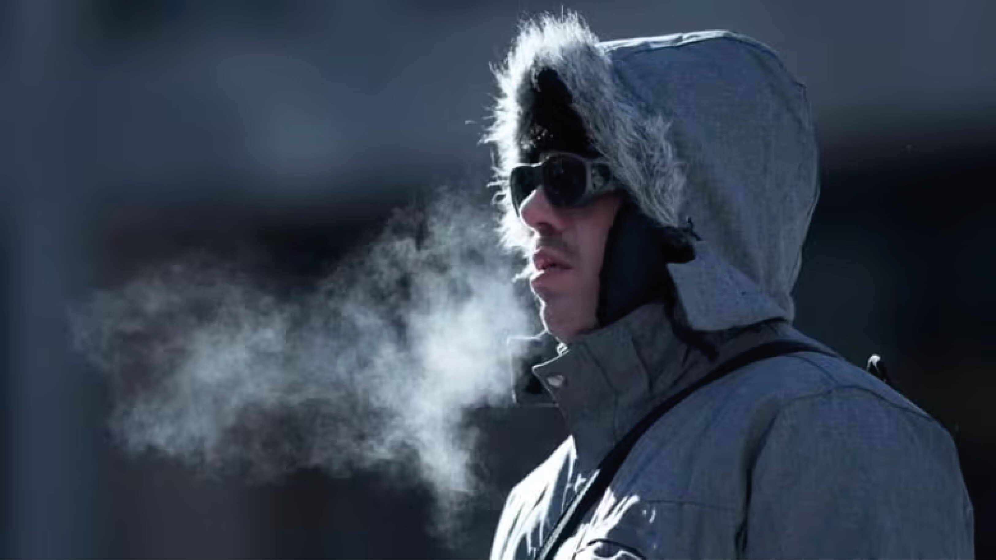 La importancia del uso del equipo de protección personal (EPP) adecuado ...